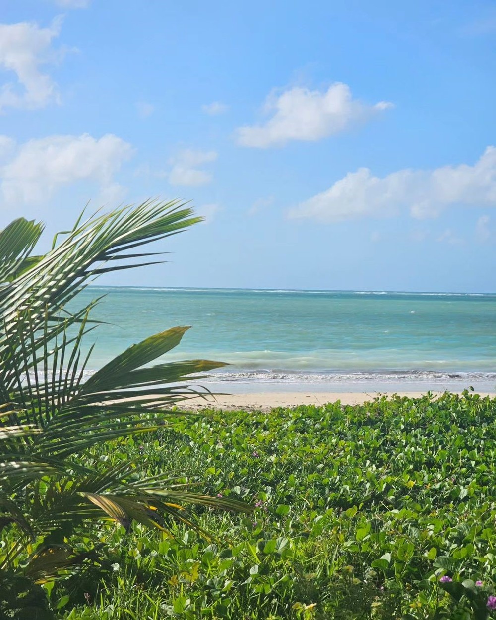 Maisa posa de biquíni e compartilha novos registros em praia tropical em Alagoas