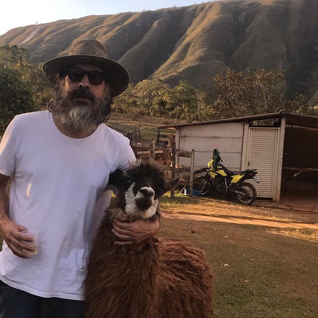 Quem é Daniel Alvim, marido de Helena Ranaldi envolvido em briga com ...