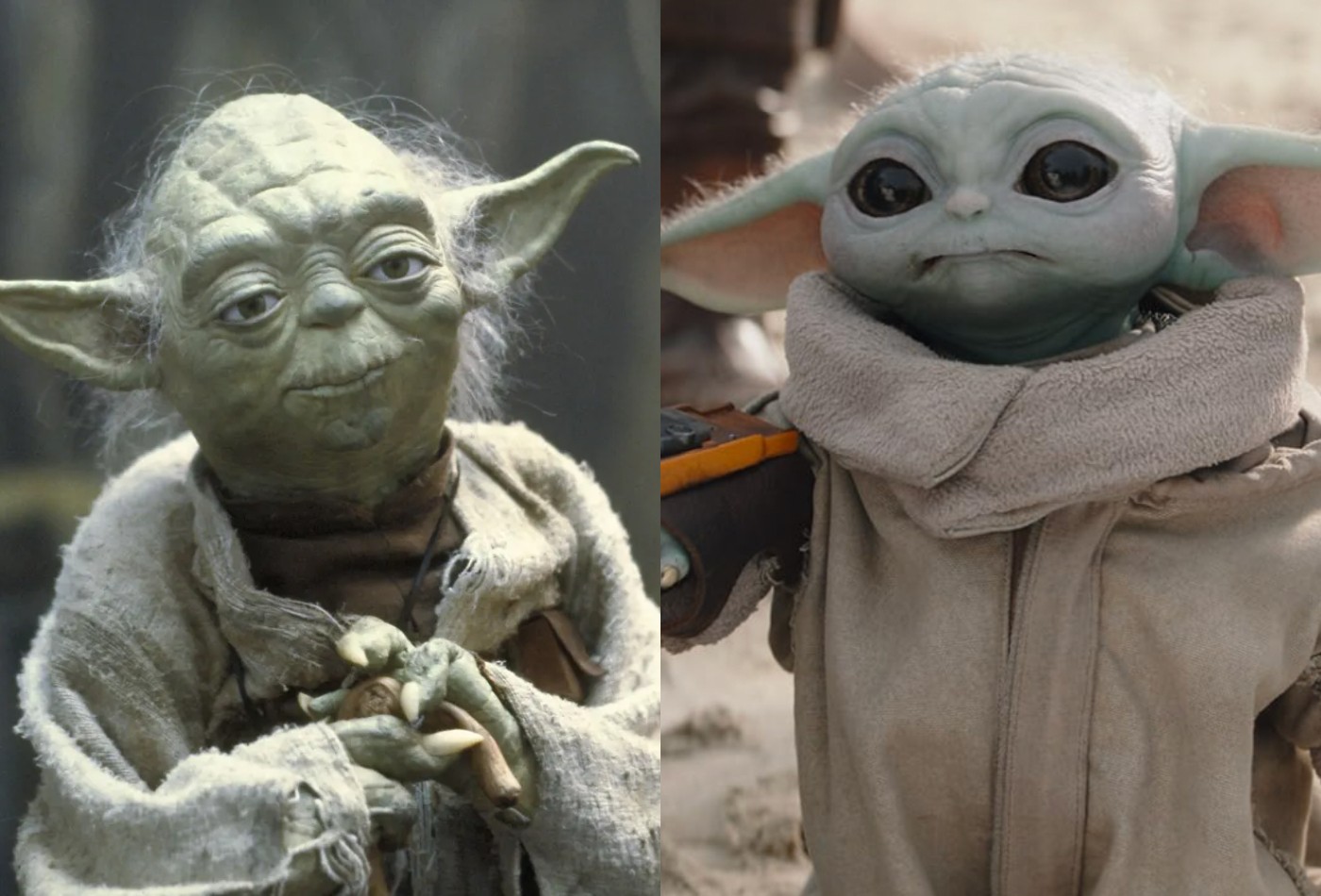 Grogu é filho de Yoda? Saiba história do personagem de ‘Star Wars: O ...