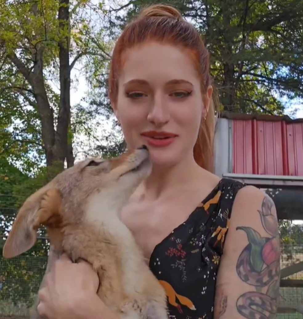 Marido de YouTuber chora ao comentar morte da esposa: 'Ela não ...