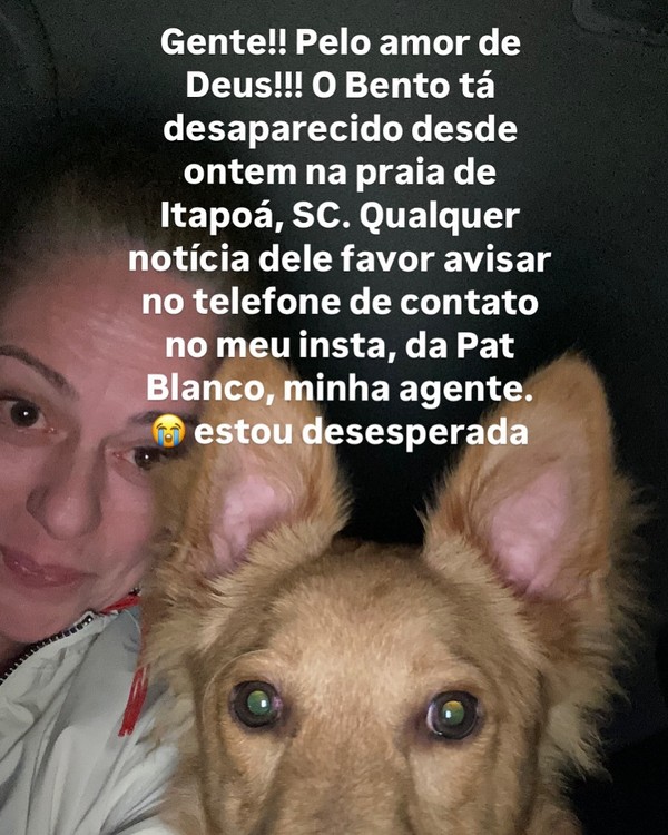 Guta Stresser, de 'A Grande Família', se desespera com cão desaparecido