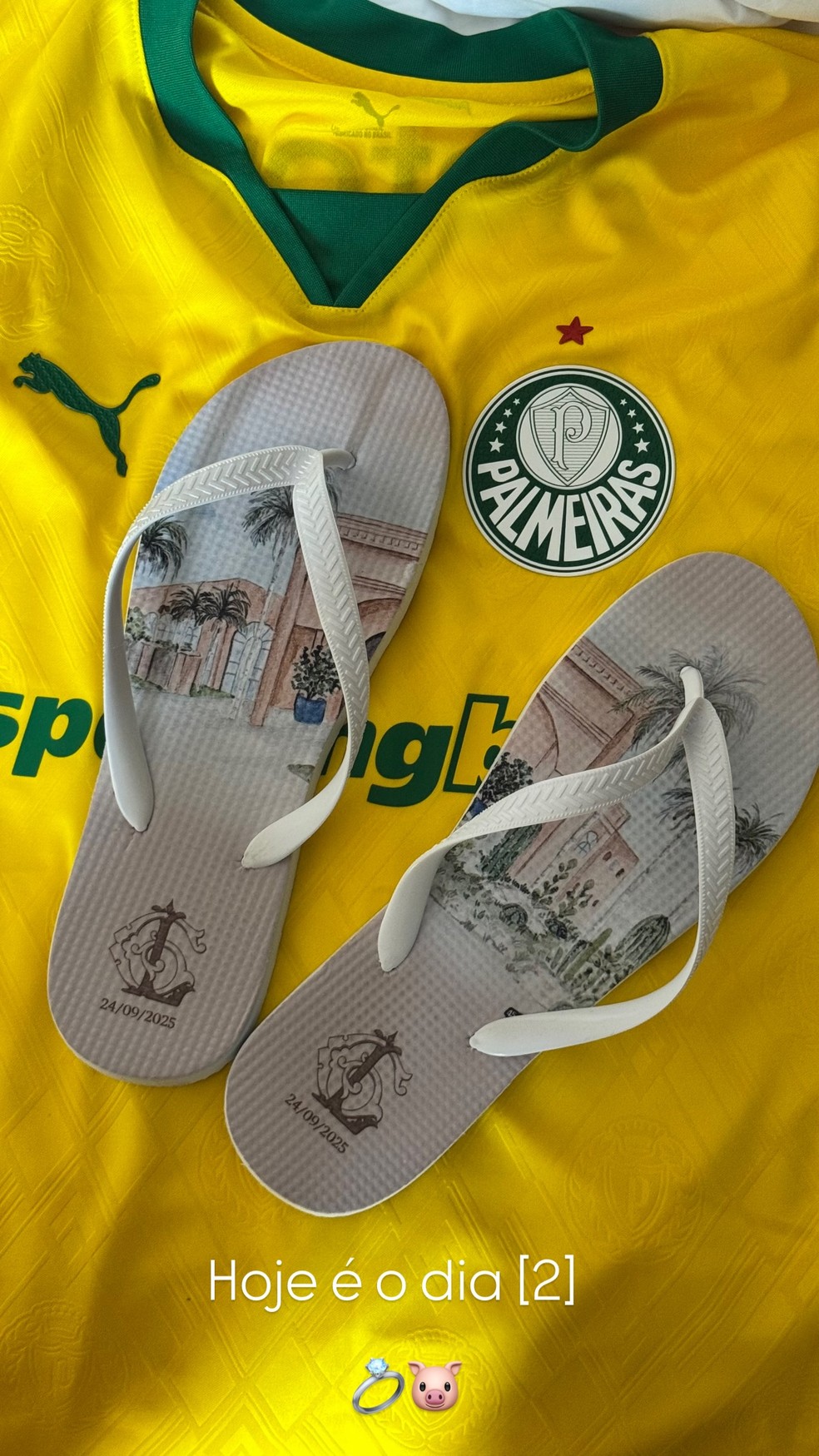 Gustavo Marsengo entra ao som do hino do Palmeiras em casamento com ...