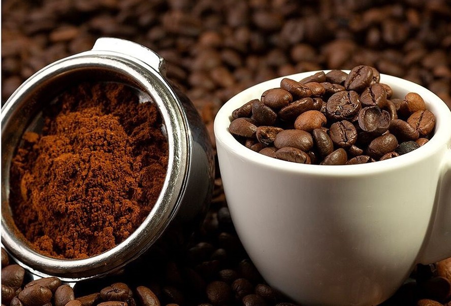 Rio Coffee Nation, maior encontro de cafés especiais e orgânicos do ...