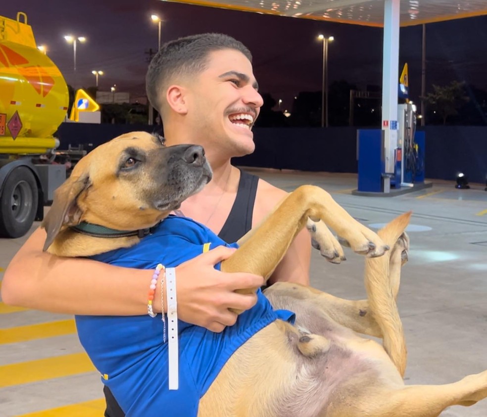 Conheça Láctea, influenciador do momento e parceiro de Fátima Bernardes ...