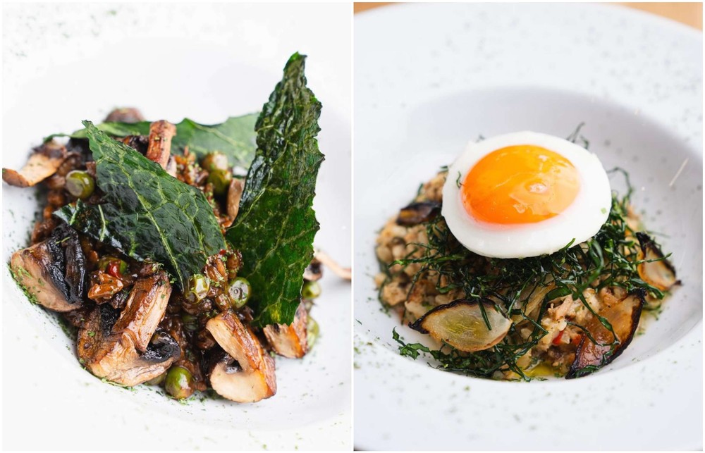 Novo Celeste Bistrô tem menu de cozinha autoral brasileira