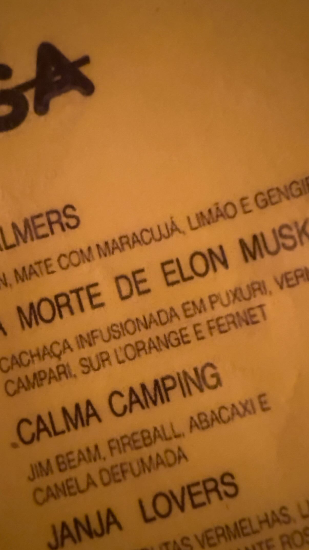 Emily Ratajkowski curte praia no Rio, se declara em português, e ...