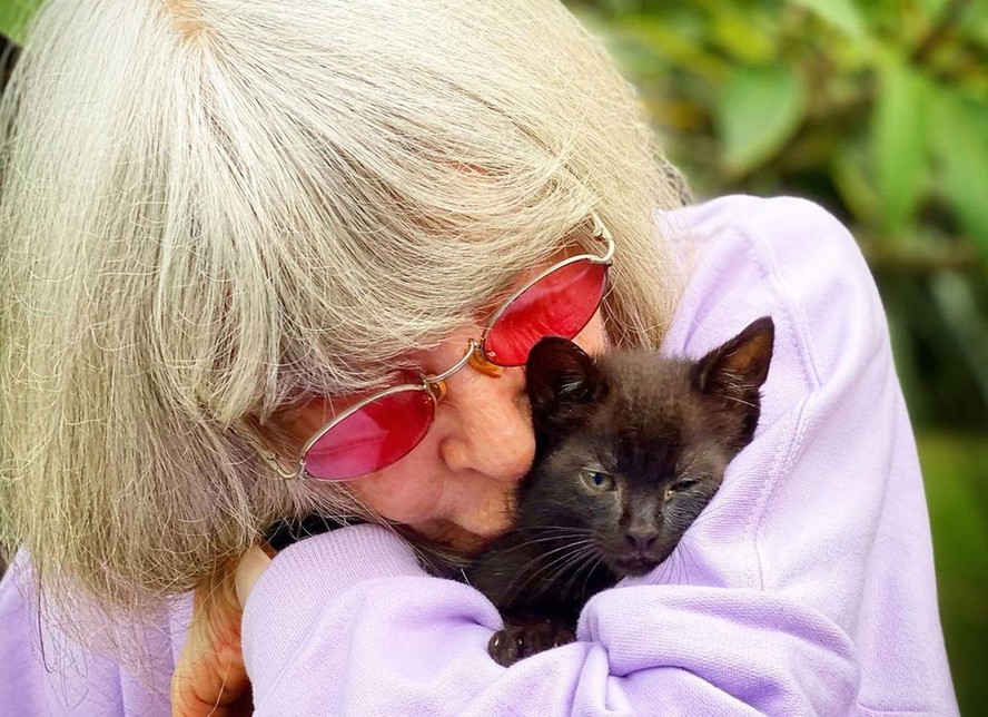 Rita Lee dedicou seus últimos anos de vida ao ativismo animal