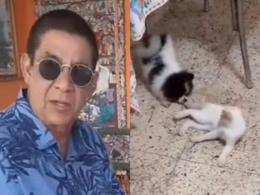 Zeca Pagodinho faz apelo para encontrar gata perdida: 'A gente está com saudade'