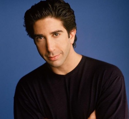 Saiba tudo sobre: David Schwimmer