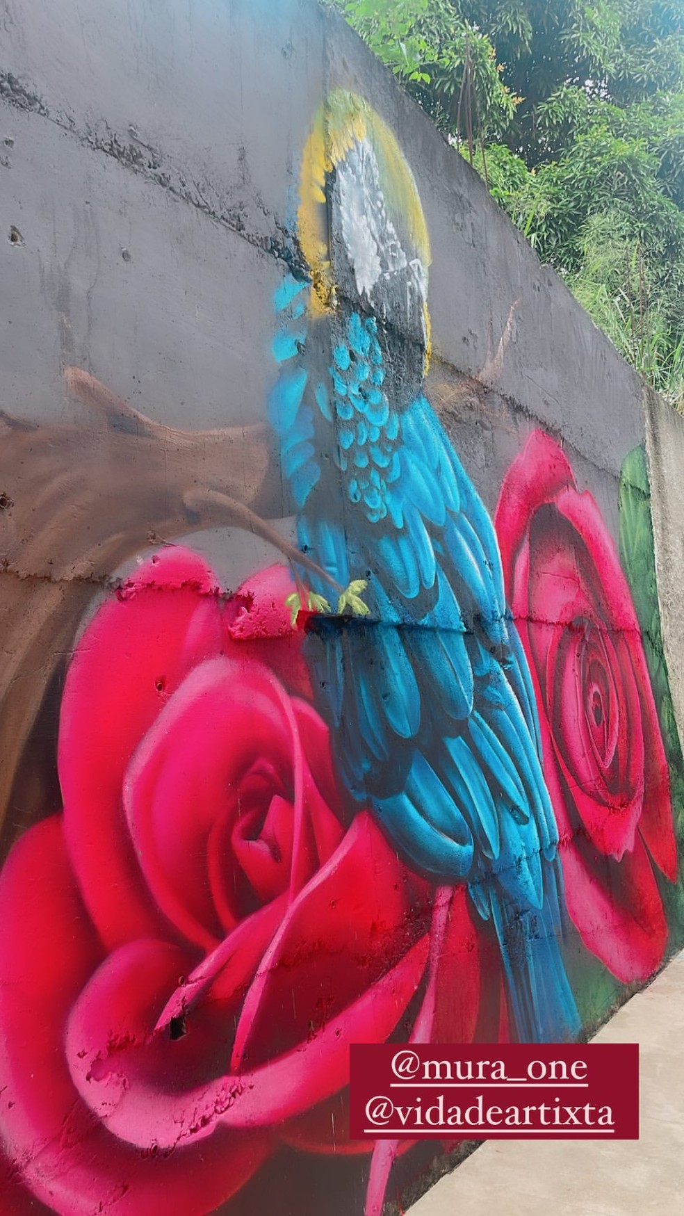 Carol Nakamura completa 40 anos e recebe o carinho do filho, ex de ...