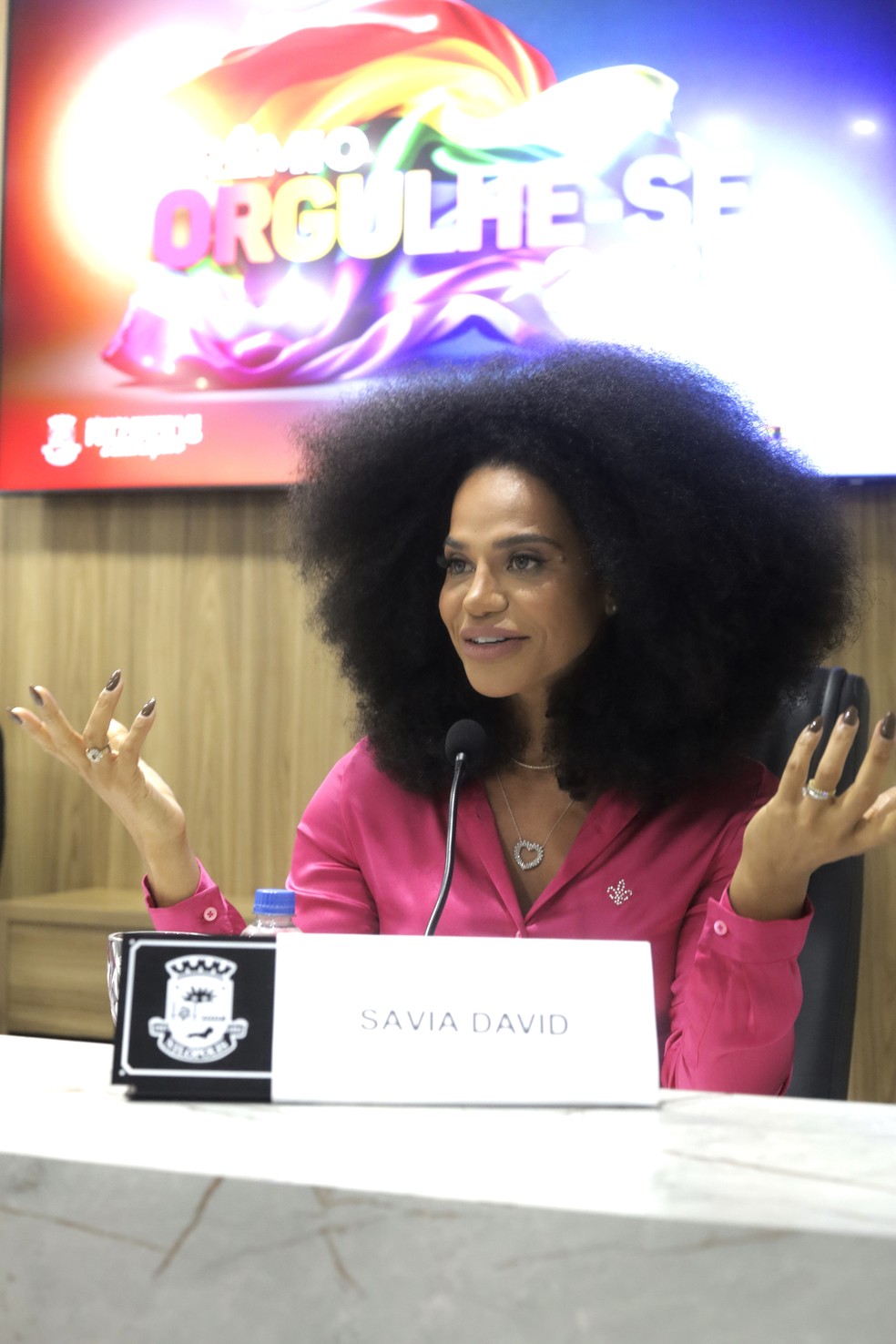 Musa do Carnaval participa de evento em defesa à comunidade LGBT+ no Rio