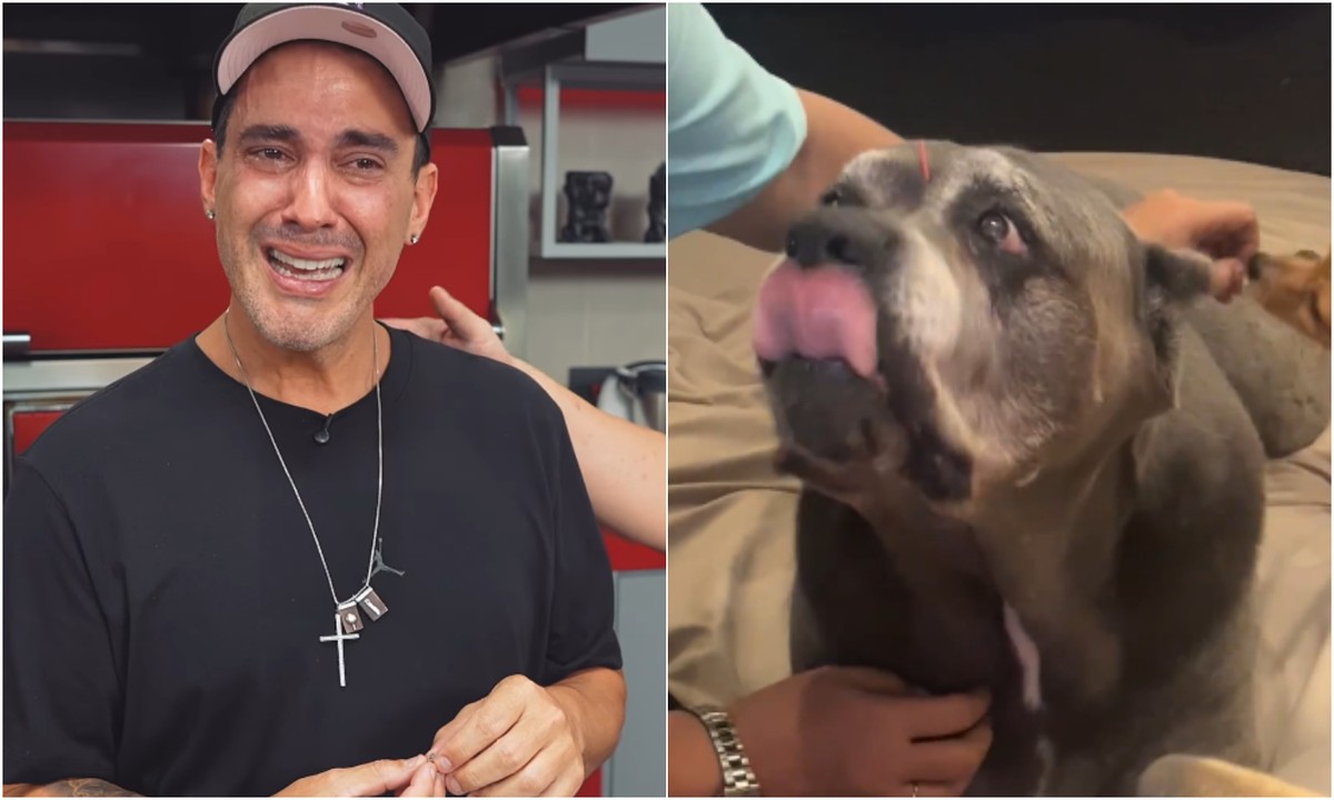 André Marques se emociona ao receber joia feita com as cinzas de sua ...