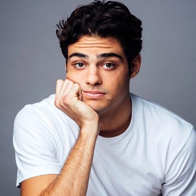 Saiba tudo sobre: Noah Centineo