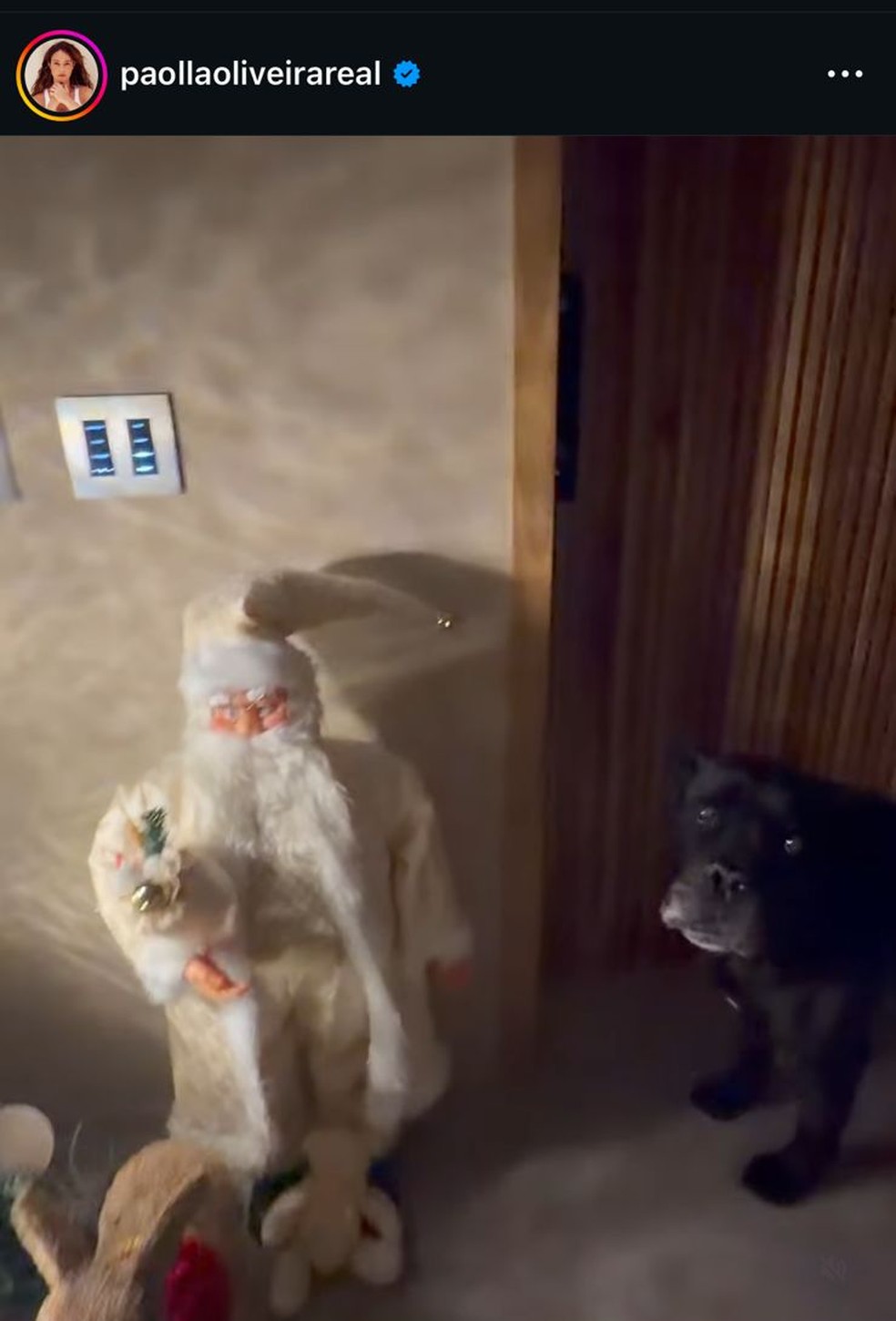 Paolla Oliveira mostra sua árvore de Natal: 'Aguardando os presentes'