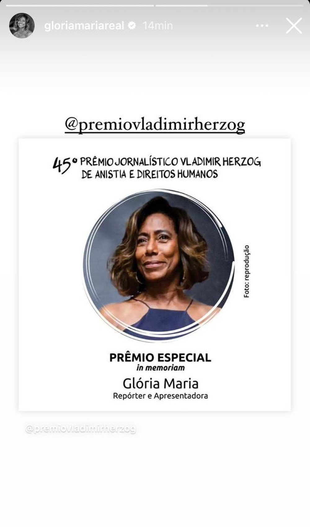 Glória Maria será homenageada no 45º Prêmio Jornalístico Vladimir Herzog