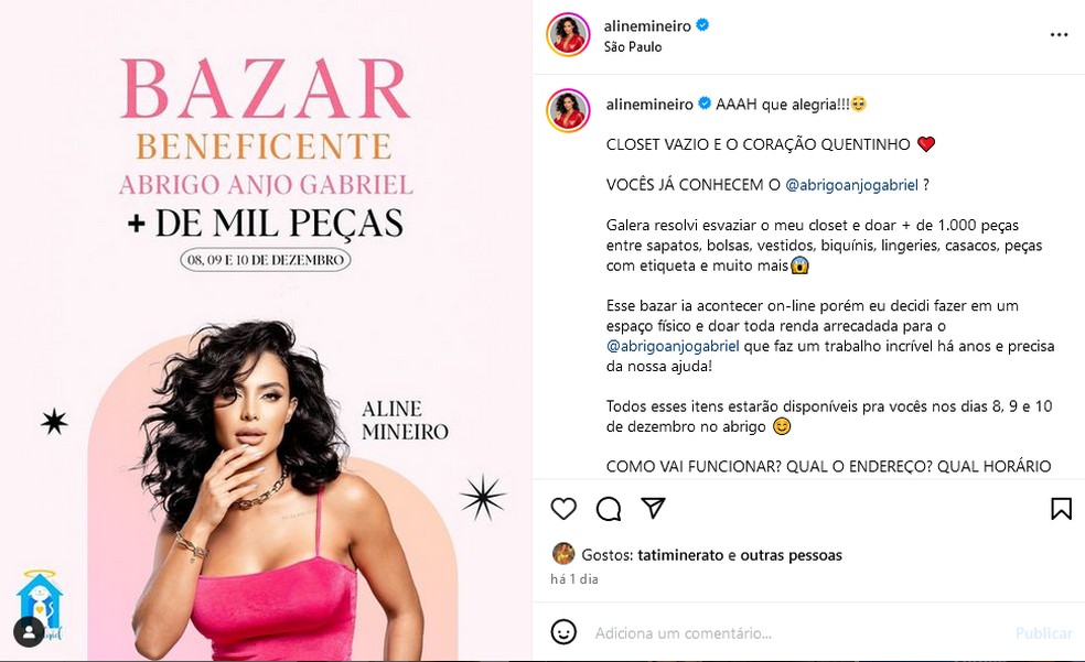 Aline Mineiro doa mil peças para bazar beneficente em prol de gatos ...