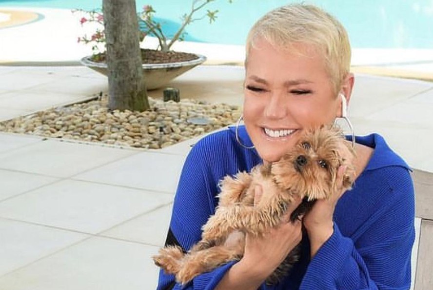 Sete vezes em que todo humano quis ser Doralice, cachorrinha de Xuxa