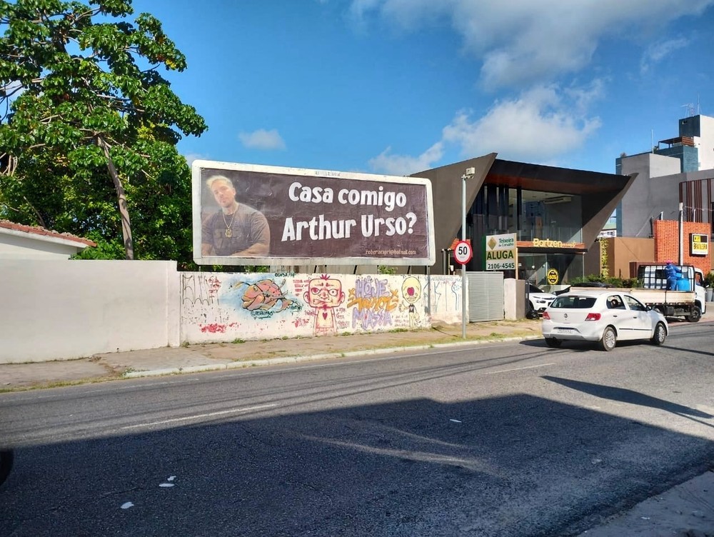 Casado com 6 mulheres, Arthur, o Urso, é pedido em casamento em outdoor