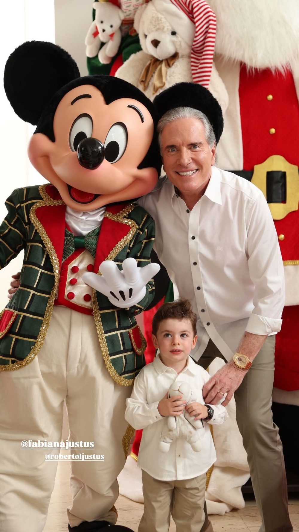 Ana Paula Siebert antecipa o Natal com festa luxuosa em casa; veja os ...