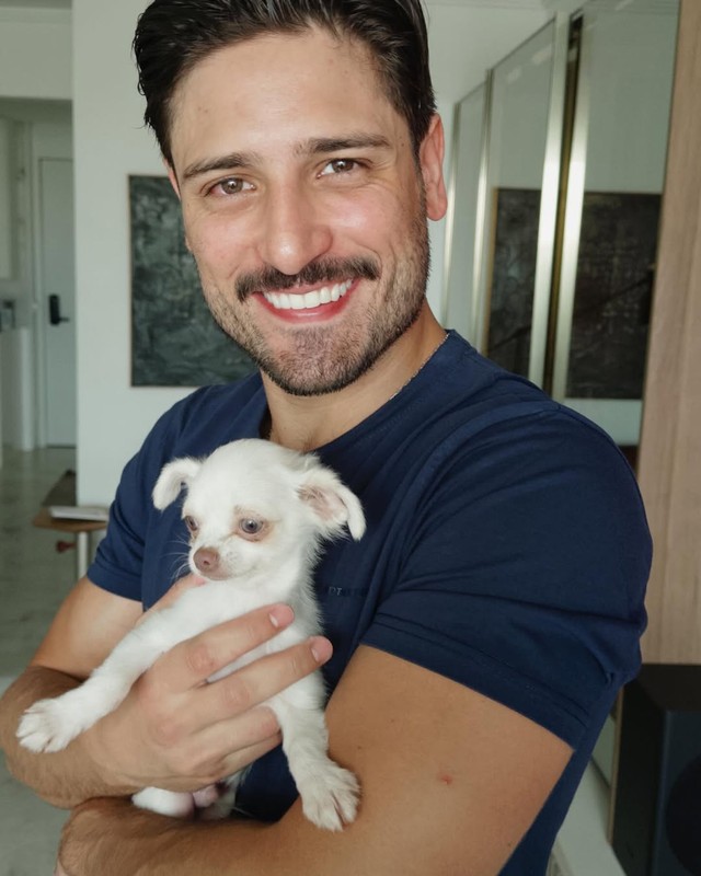 Com namorada no BBB 25, Daniel Rocha apresenta cãozinho: 'Virou meu ...