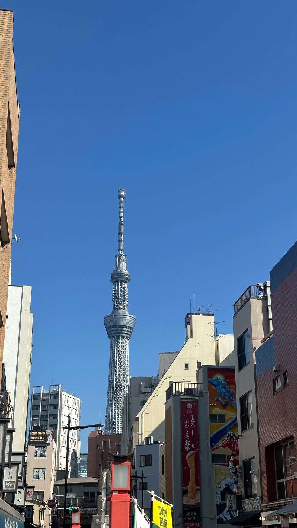 De looks combinando, filha de Cesar Filho e marido curtem 3ª viagem de ...