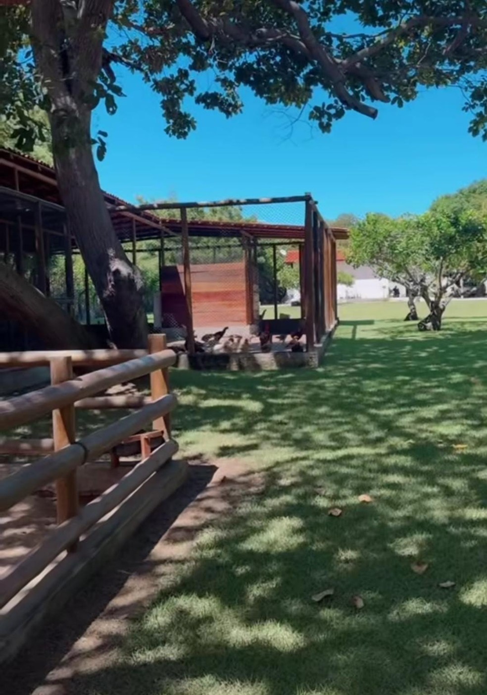 De férias, Simone Mendes resgata Nattan da água e alerta Rafa Kalimann ...