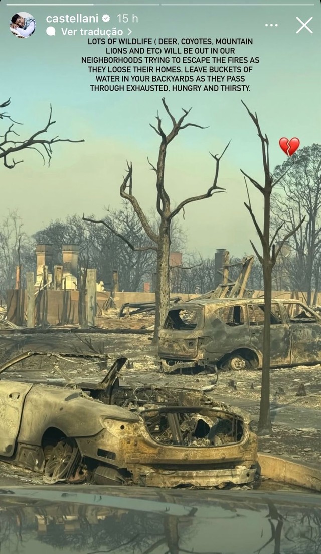Modelo brasileiro Luca Castellani tem casa destruída nos incêndios de ...
