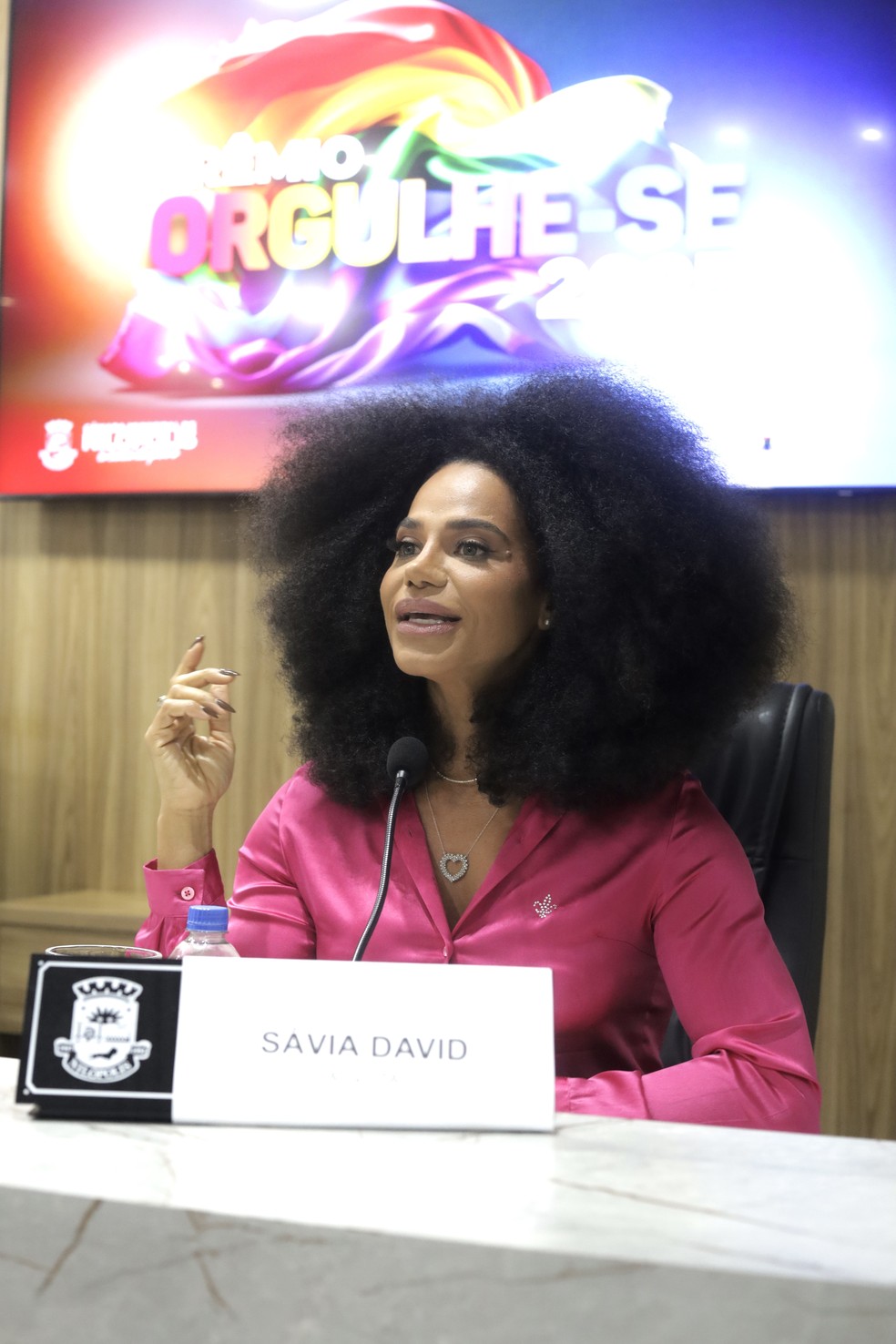 Musa do Carnaval participa de evento em defesa à comunidade LGBT+ no Rio