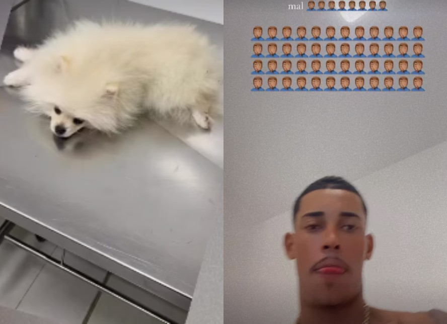 Cachorro de MC Poze do Rodo é levado ao veterinário após comer cigarro ...