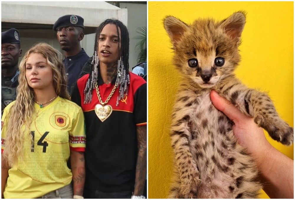 Quem é Fernanda Valença, namorada de Oruam, que ganhou gato de R$ 120 ...