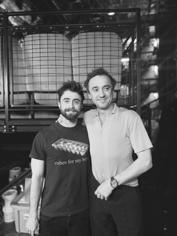 Harry Potter e Draco nos cinemas, Daniel Radcliffe e Tom Felton se ...