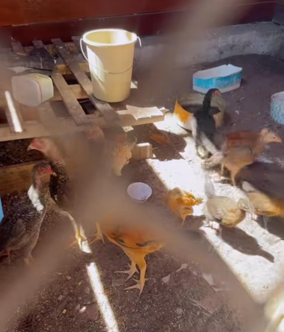 De férias, Simone Mendes resgata Nattan da água e alerta Rafa Kalimann ...