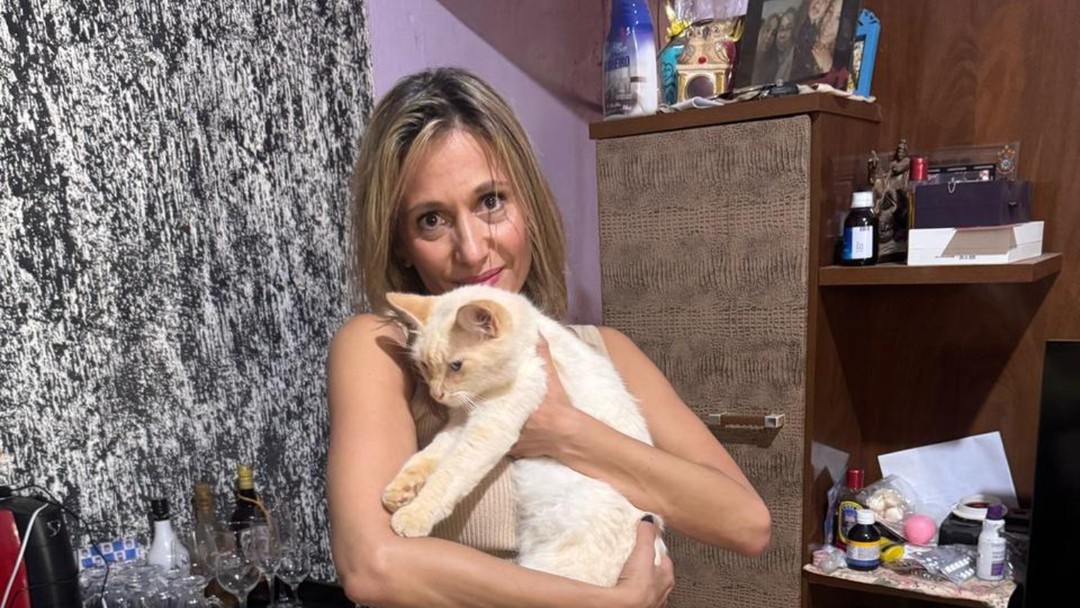 Saiba tudo sobre: Luisa Mell