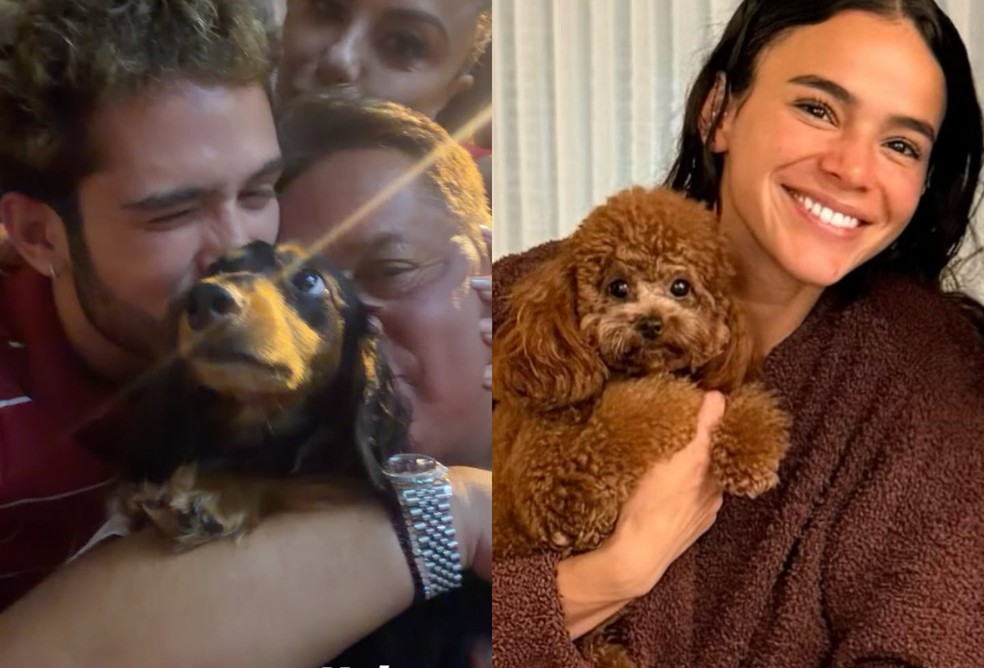 Bruna Marquezine embarca no Rio com cachorrinha que adotou com João ...