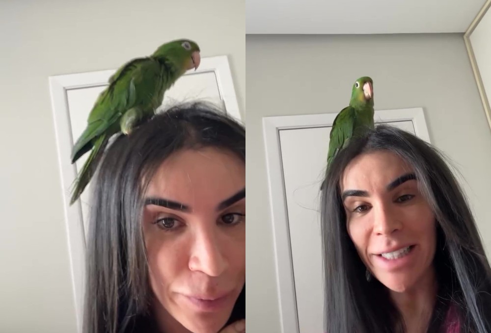 Rafa Uccman leva susto ao ter casa invadida por animal silvestre: 'Não ...