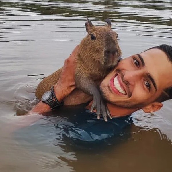 Influencer Agenor Tupinambá entrega capivara Filó ao Ibama, em Manaus