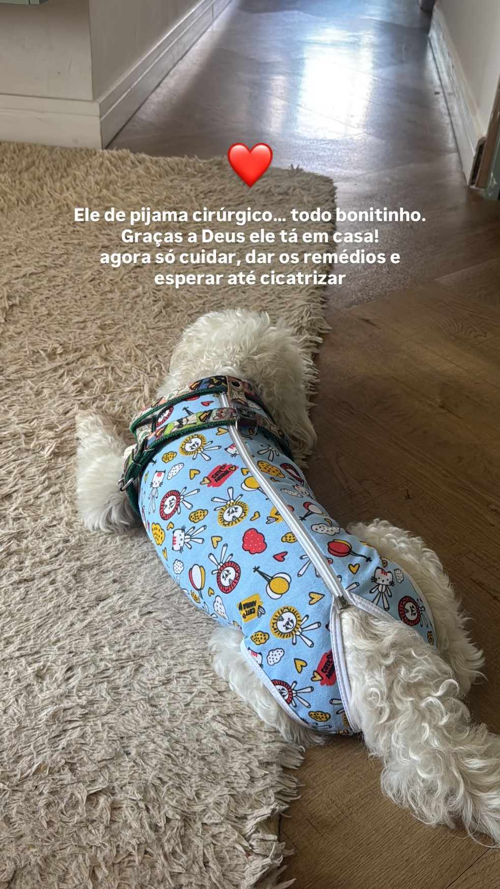 Eslô Marques chora após seu cachorro ser atacado por outro maior: 'A ...