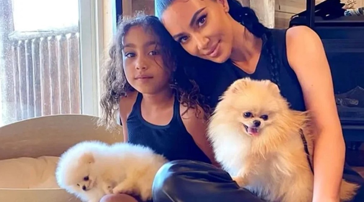 PETA se manifesta após repercussão de vídeo de cães de Kim Kardashian ...