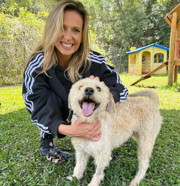 Luisa Mell diz ter sido vítima de golpe após instituto mudar de nome ...