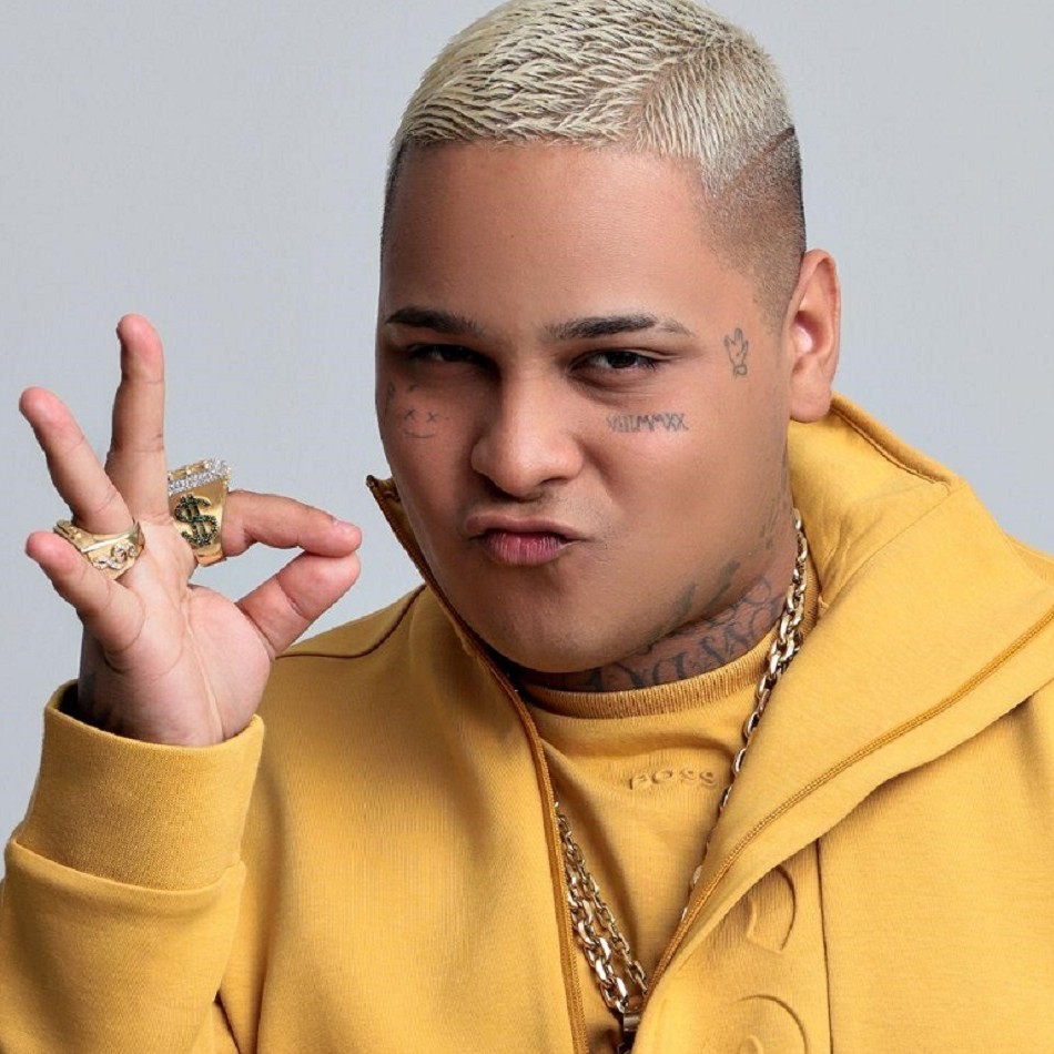 Saiba tudo sobre: MC Ryan SP