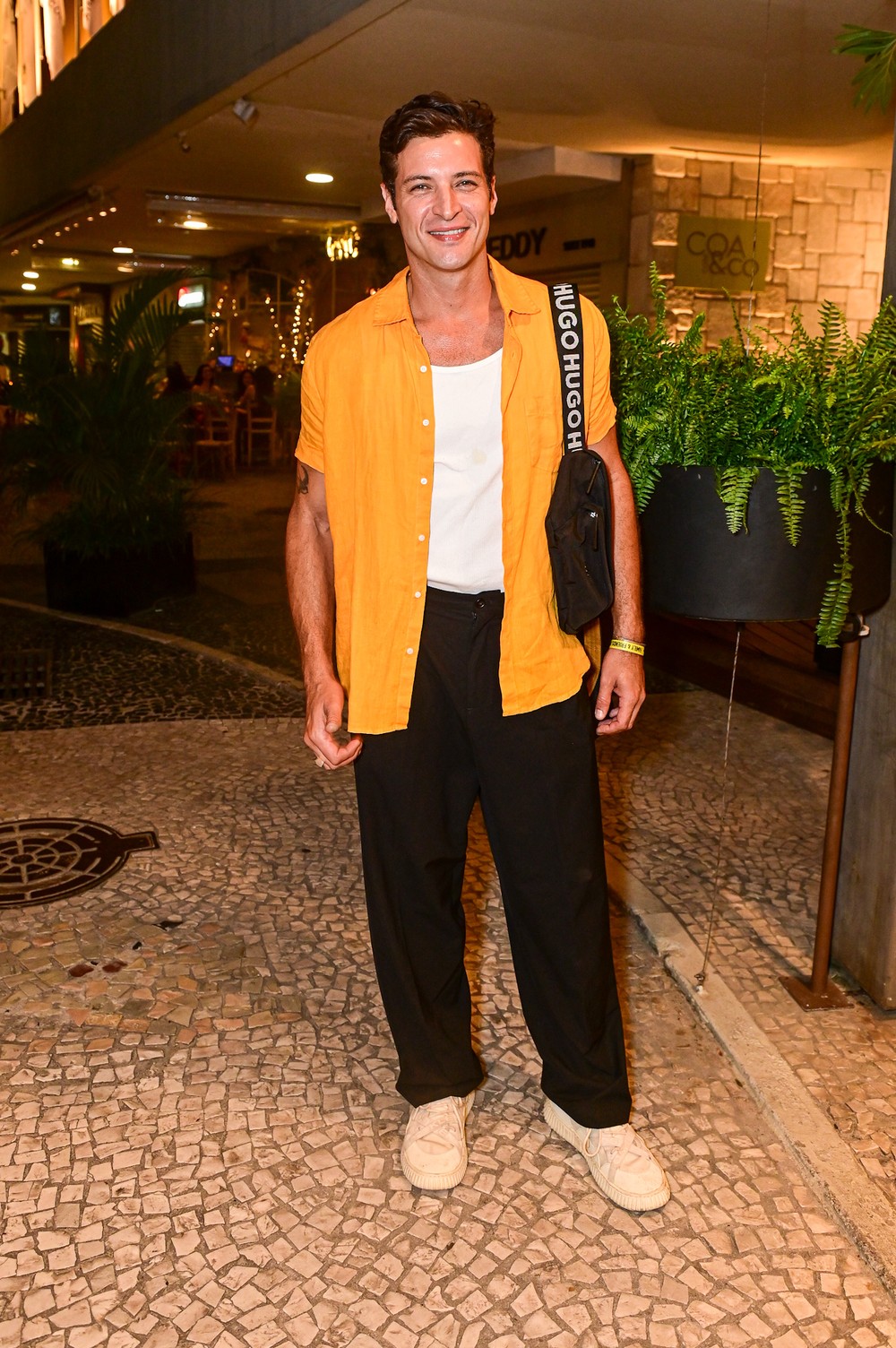 Ivete Sangalo no Maracanã: Taís Araujo, Paolla Oliveira e mais famosos ...