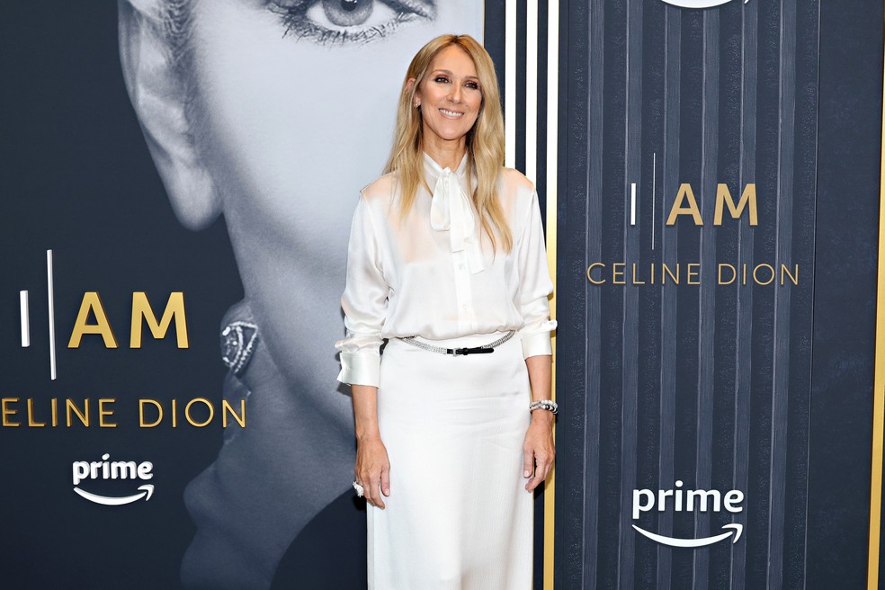 Com doença rara e incurável, Céline Dion vai com o filho a première de ...