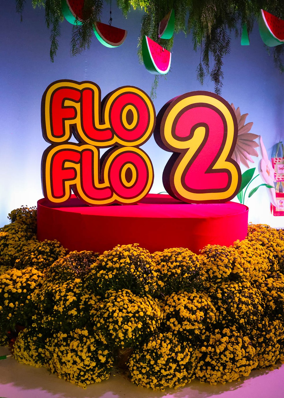 Maria Flor faz 2 anos: decoração grandiosa marca festa organizada por ...