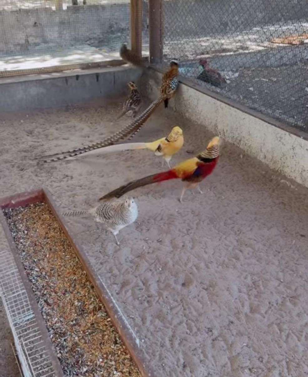 De férias, Simone Mendes resgata Nattan da água e alerta Rafa Kalimann ...