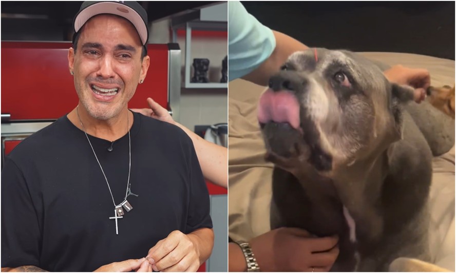 André Marques se emociona ao receber joia feita com as cinzas de sua ...