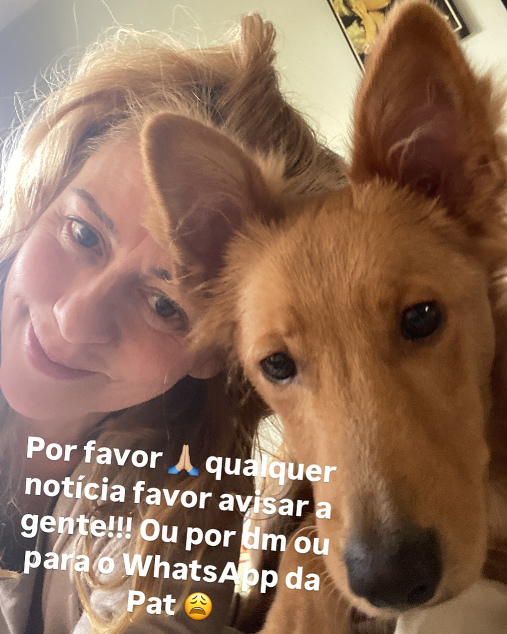 Guta Stresser, de 'A Grande Família', se desespera com cão desaparecido