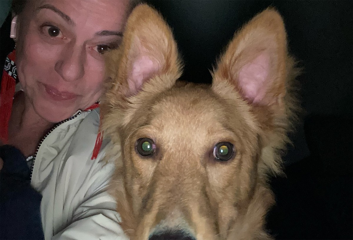 Guta Stresser, de 'A Grande Família', se desespera com cão desaparecido