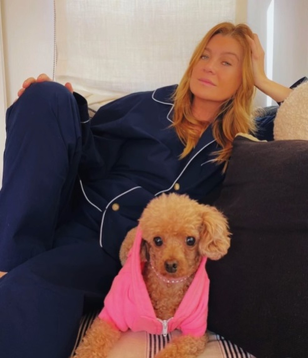 Ellen Pompeo fala do Brasil, rotina 'comum' e desafio após 20 anos ...