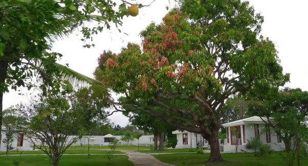 Nicole Bahls abre mansão com 22 banheiros, salão de beleza e capela ...