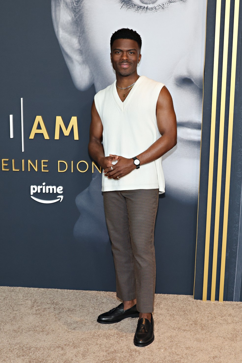 Com doença rara e incurável, Céline Dion vai com o filho a première de ...